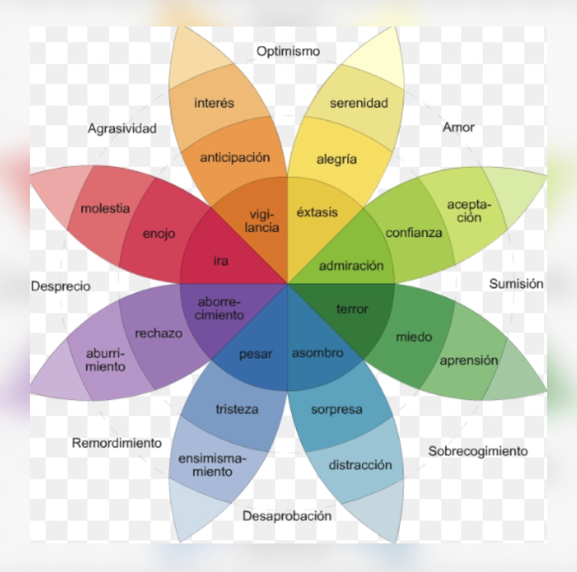 Tipos De Emociones Según La Psicología – MZCJW